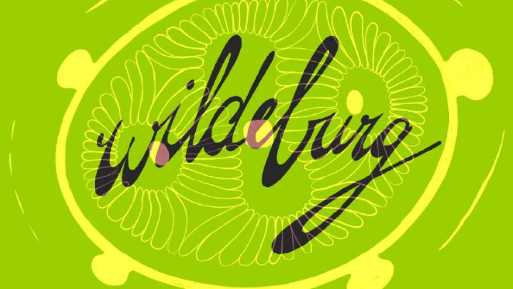 Wildeburg - 10-12 jul 2026 - Tickets & Line-up