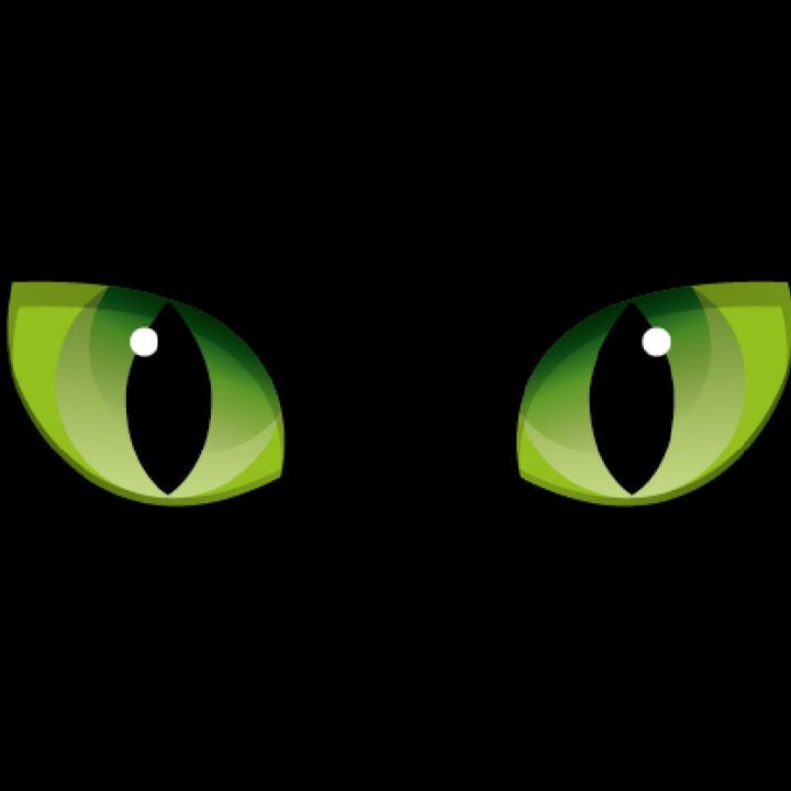 Katse Feesten - 1-6 aug 2025 - Tickets & Line-up