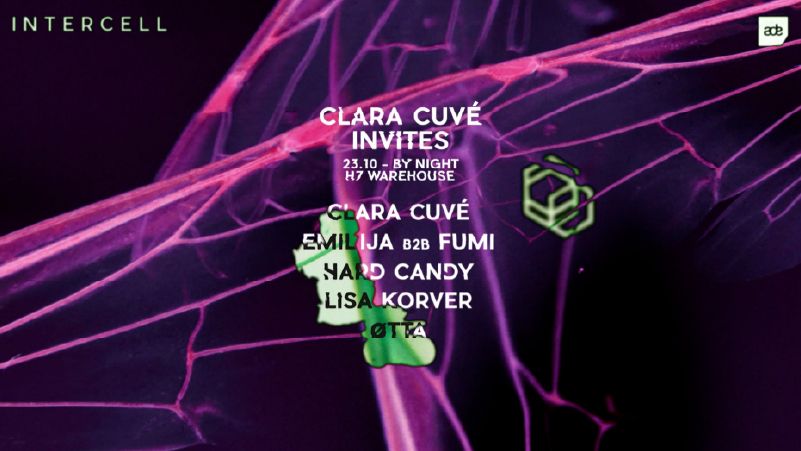 Tems - Festival agenda van je favo artiest!